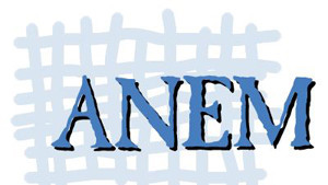 ANEM-ov junski medijski monitoring